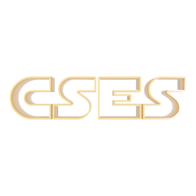 CSES - Kurse, Herausforderungen, Community - Einstieg Informatik